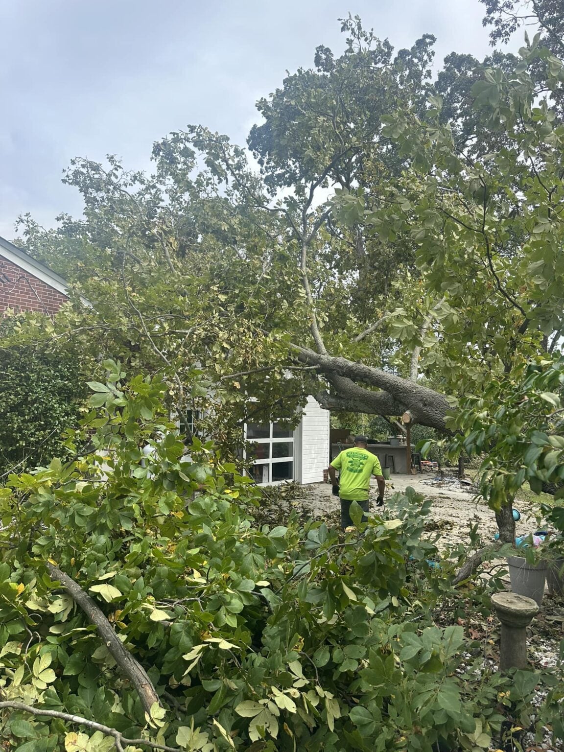 Emergency Tree Removal & Tree Care Services for Residential ...